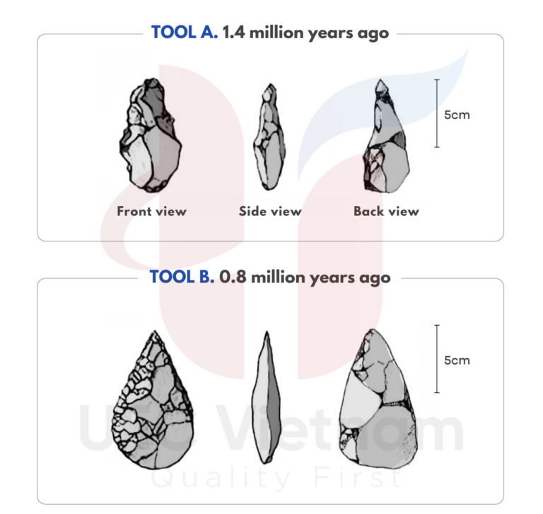 Tổng hợp bộ tứ đề thi IELTS Writing task 1 làm hoang mang sĩ tử