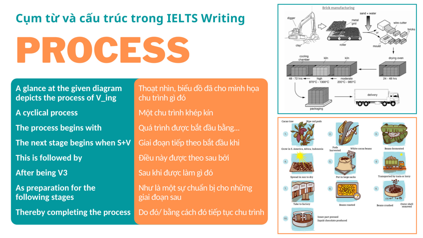 Cấu Trúc Câu Miêu Tả Process Trong Ielts Writing Task 1 Học Ielts