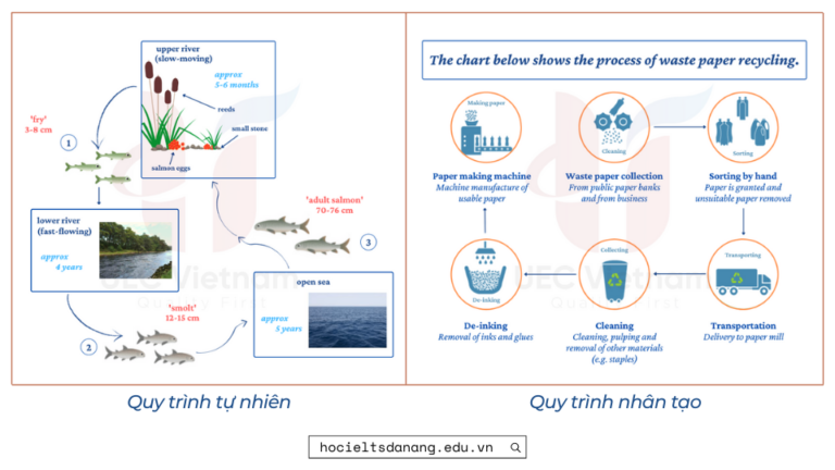 Tiêu chí chấm điểm và 7 dạng bài IELTS Writing Task 1 - Học IELTS ...